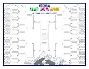 March Melee - FlutterBee Education Group